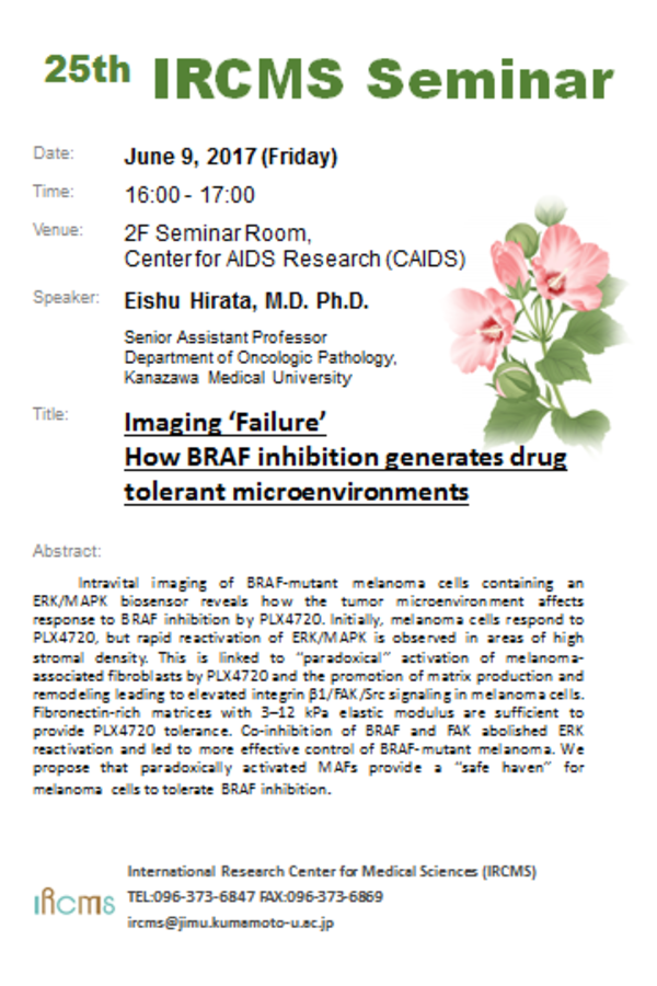 25th IRCMS Seminar - Events | IRCMS - Kumamoto University