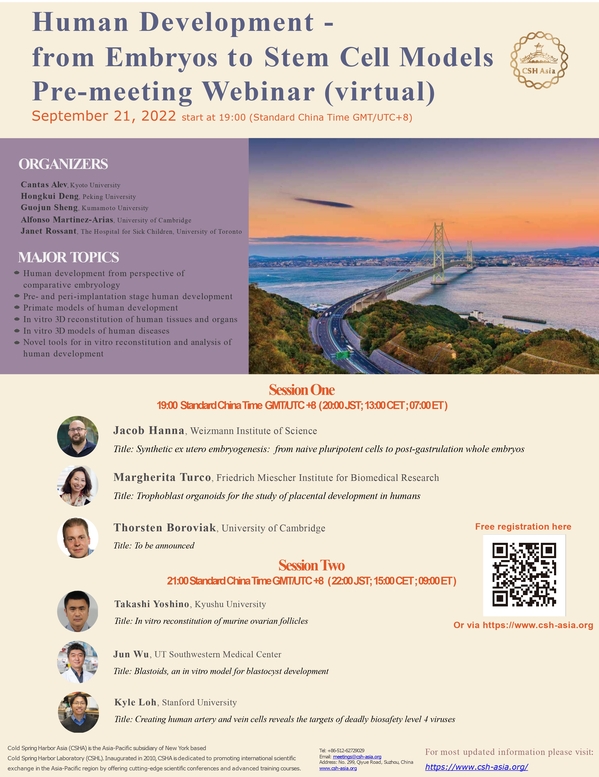 Human Development - from Embryos to Stem Cell Models Pre-meeting ...