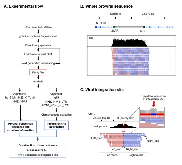 HIV-1 DNA-capture-seq is a useful tool for the comprehensive ...